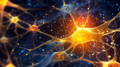 Bioprocessors on Mars, a futuristic discussion with FinalSpark's co ...