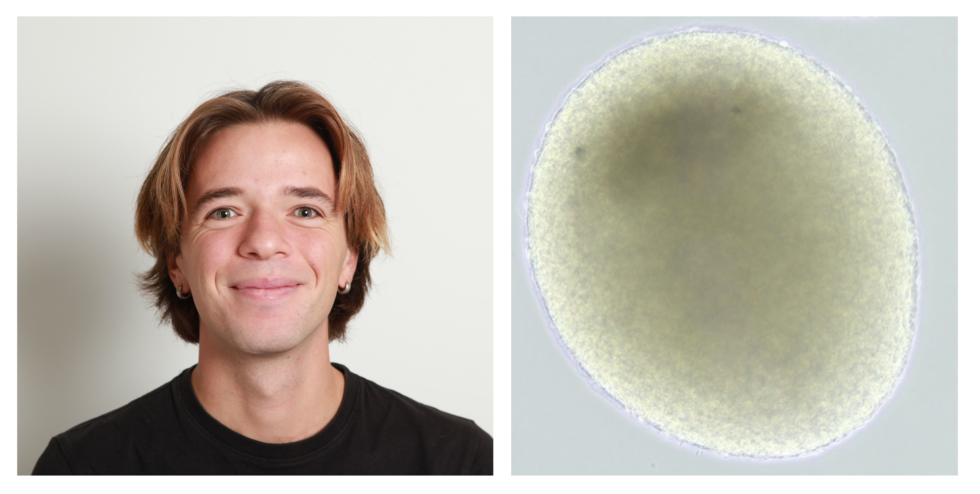 Articles - FinalSpark