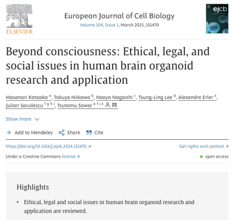 Exploring Ethical Frontiers: Human Brain Organoids in Research and ...